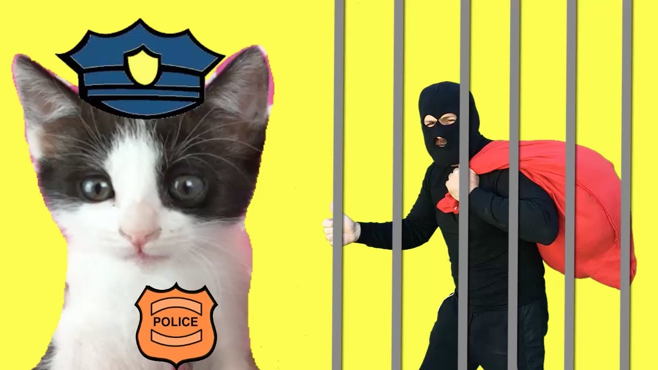 Mis gatos graciosos Luna y Estrella encierran al ladrón en la cárcel ...