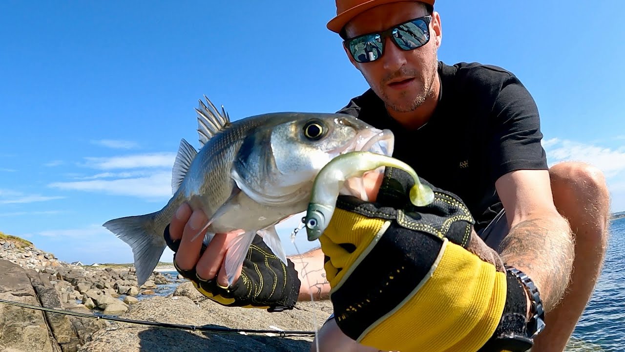BASS & WRASSE FISHING ON A SUMMERS DAY | LURE FISHING WITH DRIFT ...