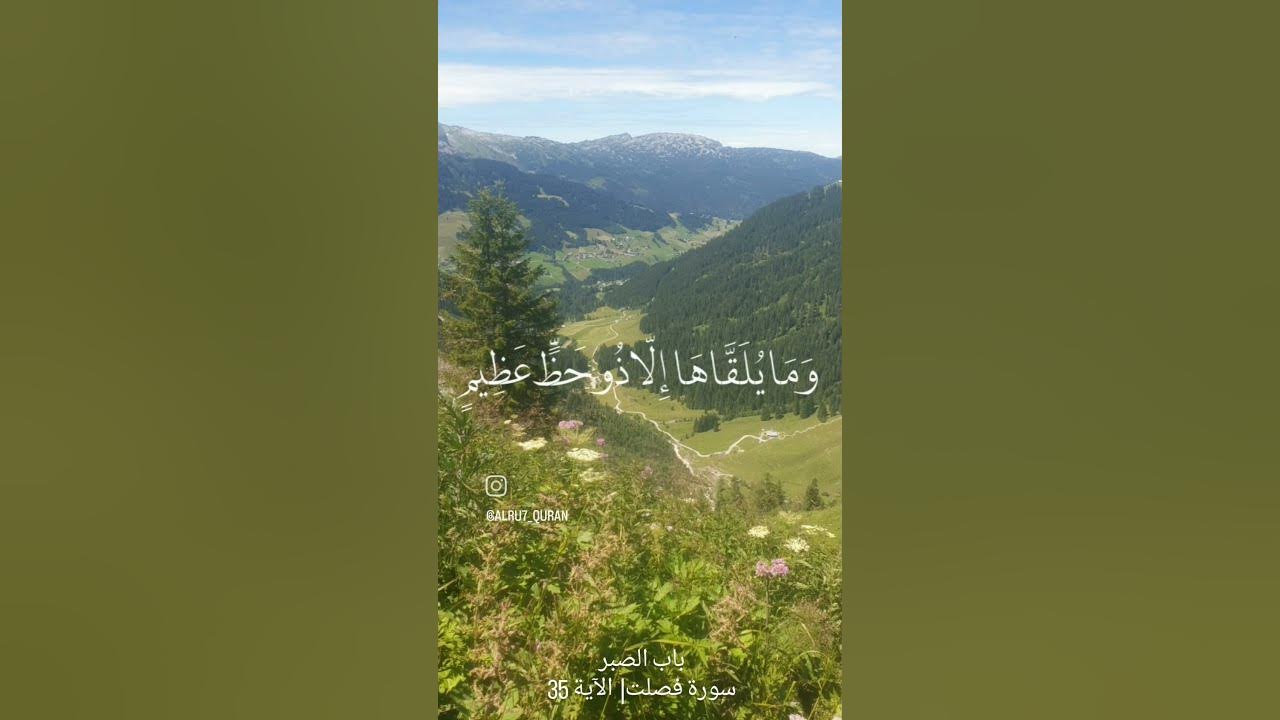 وما يلقاها إلا الذين صبروا وما يلقاها إلا ذو حظ عظيم الآية 35 فصلت