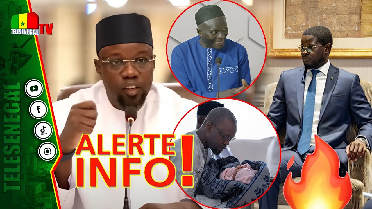 Assane Samb Décele une Faille insoupçonnée entre Diomaye & Sonko "Toudé ...