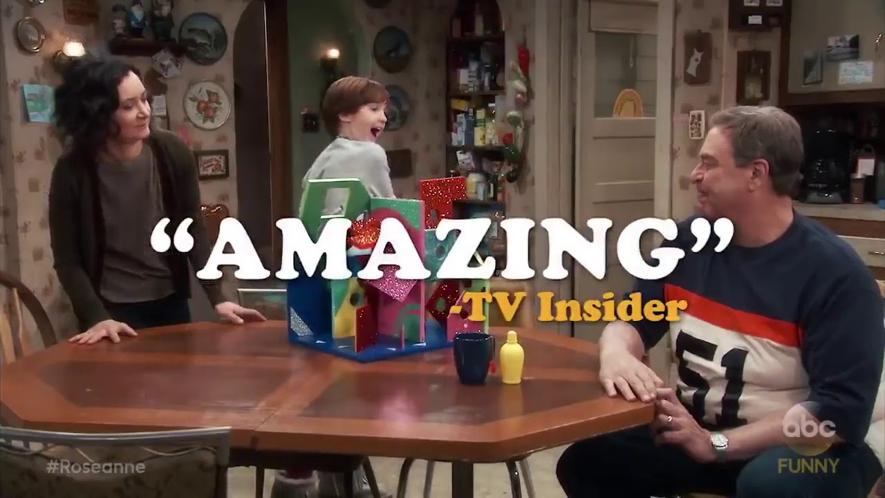 Roseanne ABC Season 10 Familiar Faces Promo - Johnny Galecki as David ...