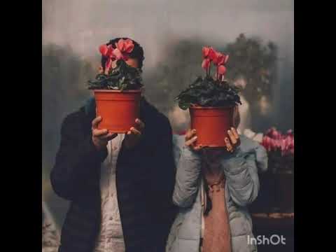 Qadın ürəyi/Tofiq Bayram-şeir.Qiraət/Ziya Əlinur