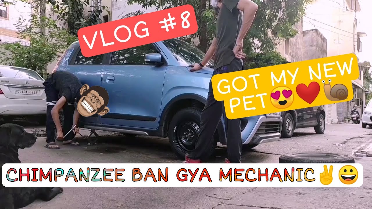 Chimpanzee Bna Mechanic...😂|Vlog#8 - YouTube
