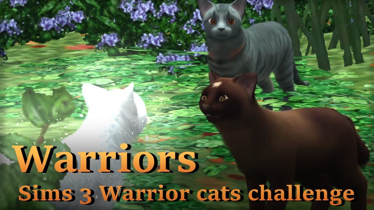 Rise of Doestar🐈⭐Sims 3: Warrior cats Legacy #20 - YouTube