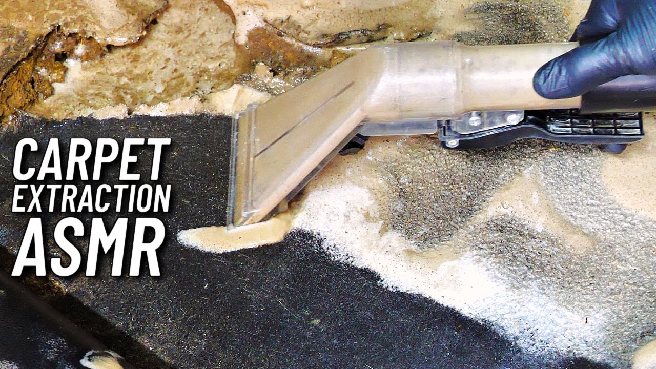 NASTY Carpet Extraction Real Time Car Detailing - YouTube