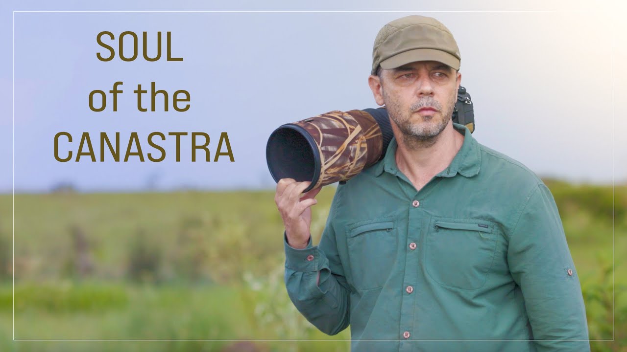 Soul of the Canastra - Brazil's national treasure through the eyes of Alessandro Abdala - YouTube