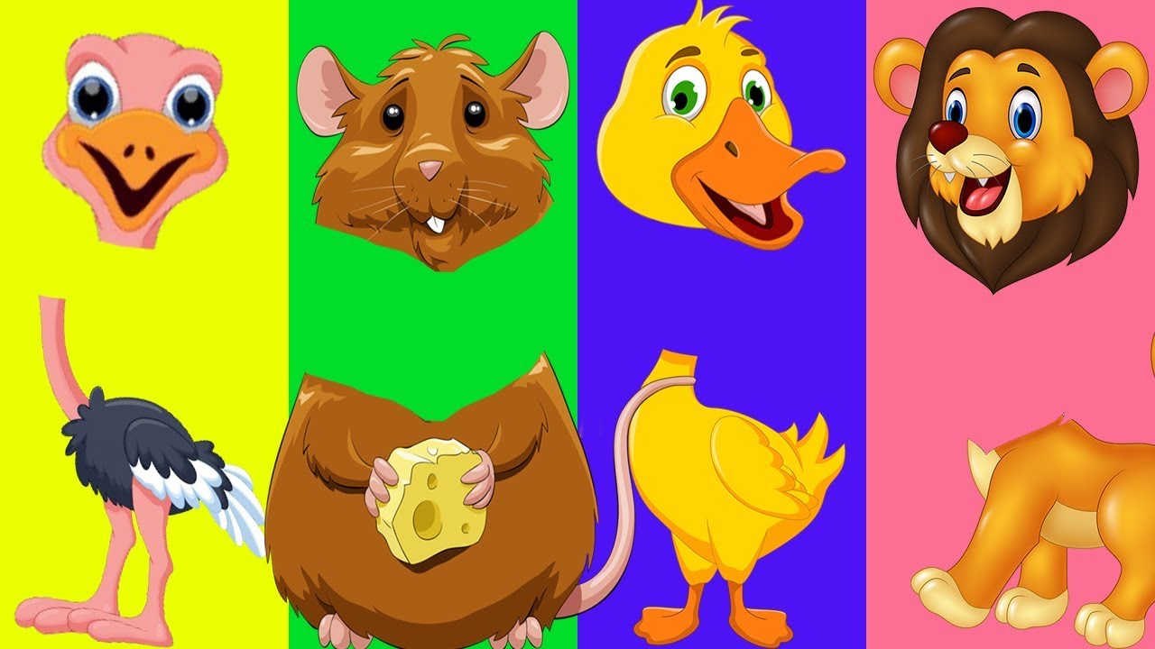 Wrong heads video Learning cartoon animals for kids Wrong Body Old ...