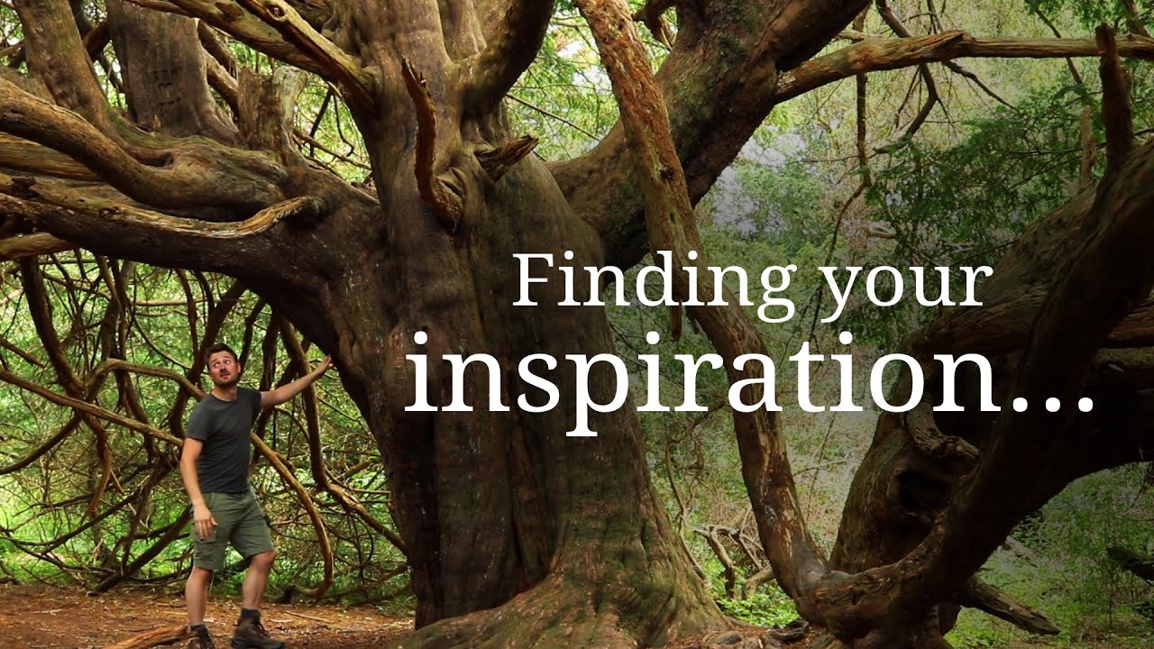Get Inspired by Nature | How to Find Your Creativity? - YouTube