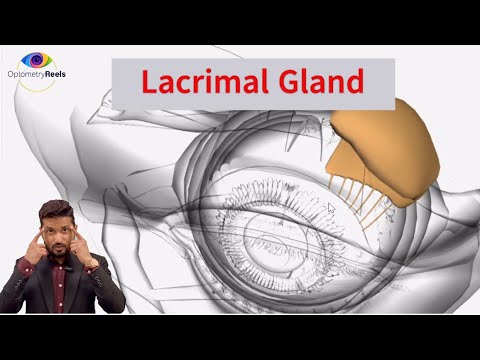 Lacrimal apparatus || Anatomy of eye || Tear drainage system || 2024 ...