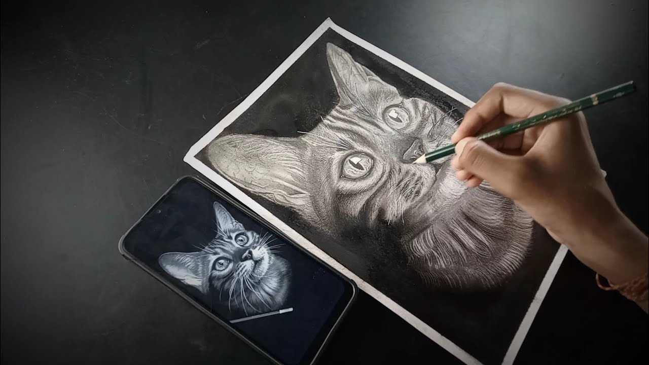 cat potrait shading/Hyper realistic sketch shading part 2 - YouTube