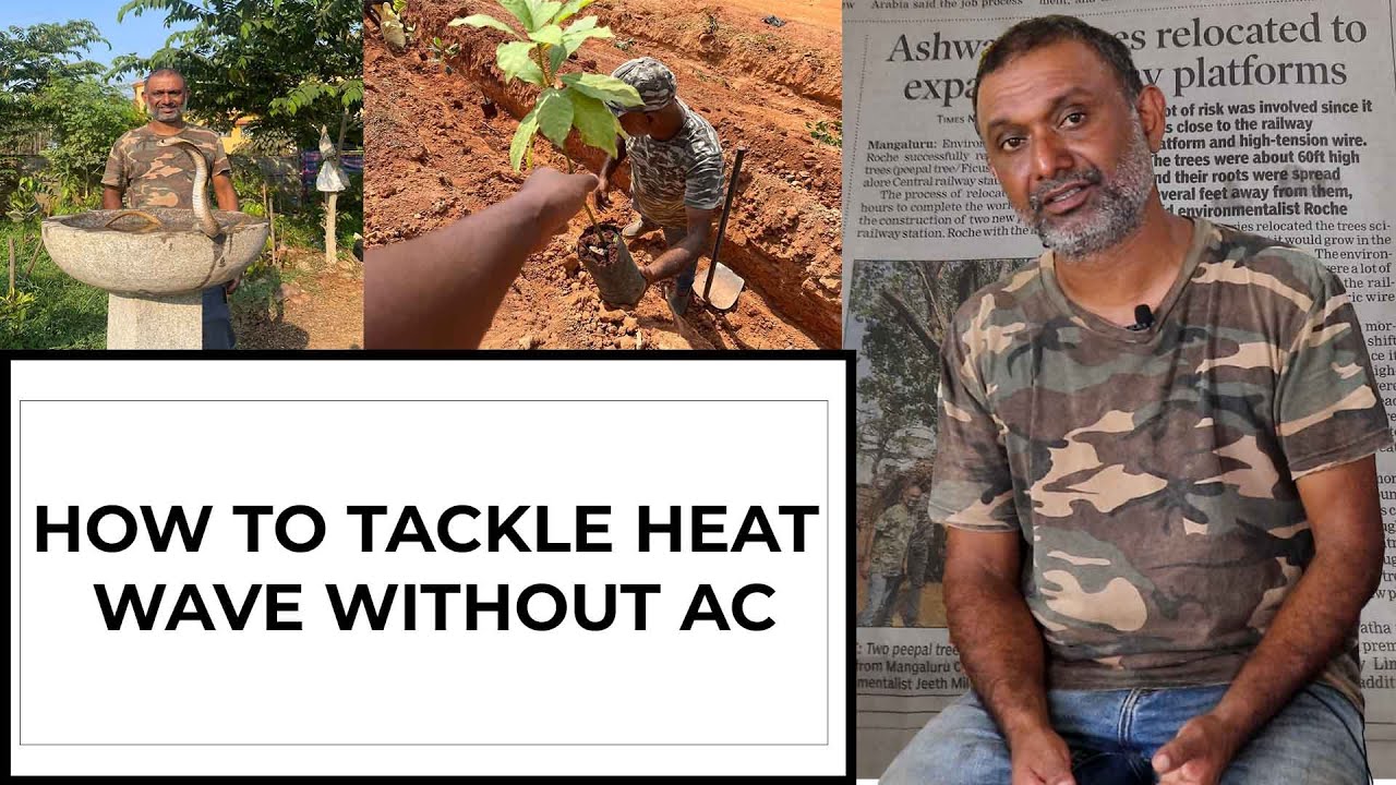 How to tackle heat wave without AC - Jeeth milan roche - YouTube