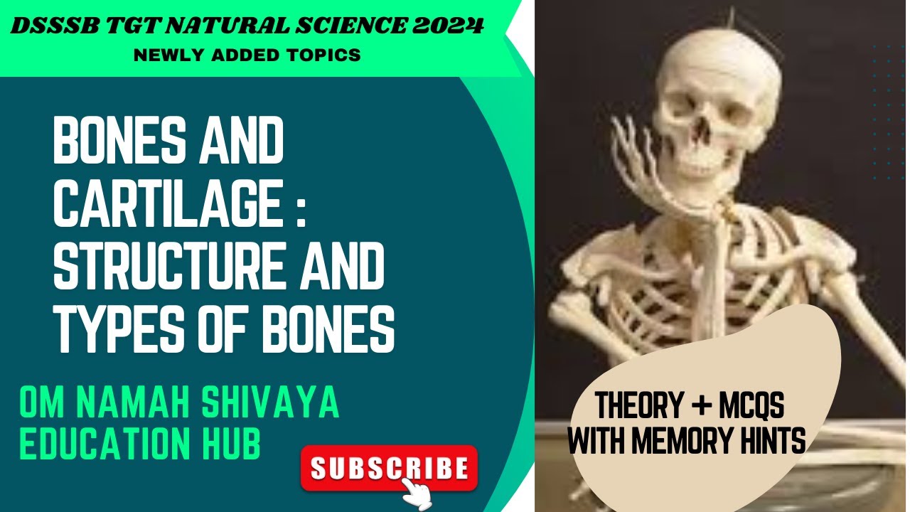 STRUCTURE AND TYPES OF BONES:BONES AND CARTILAGE | DSSSB TGT NATURAL ...