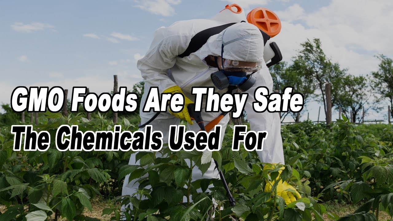 What Chemicals Are Used To Grow GMO Foods And Are They Safe By McKay what-chemicals-are-used-to-grow-gmo-foods-and-are-they-safe-by-mckay