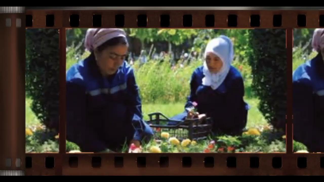 2025-yil "Atrof muhitni asrash va "yashil" iqtisodiyot yili"ga "Ona tabiatni asraylik" - YouTube