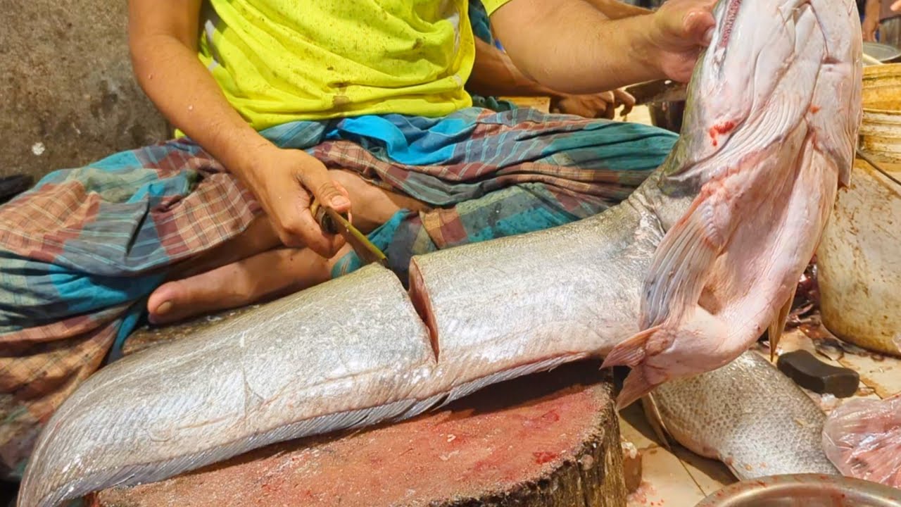 Big Boal Fish Cutting By Expert Fish Cutter | Amazing Fish Cutting ...
