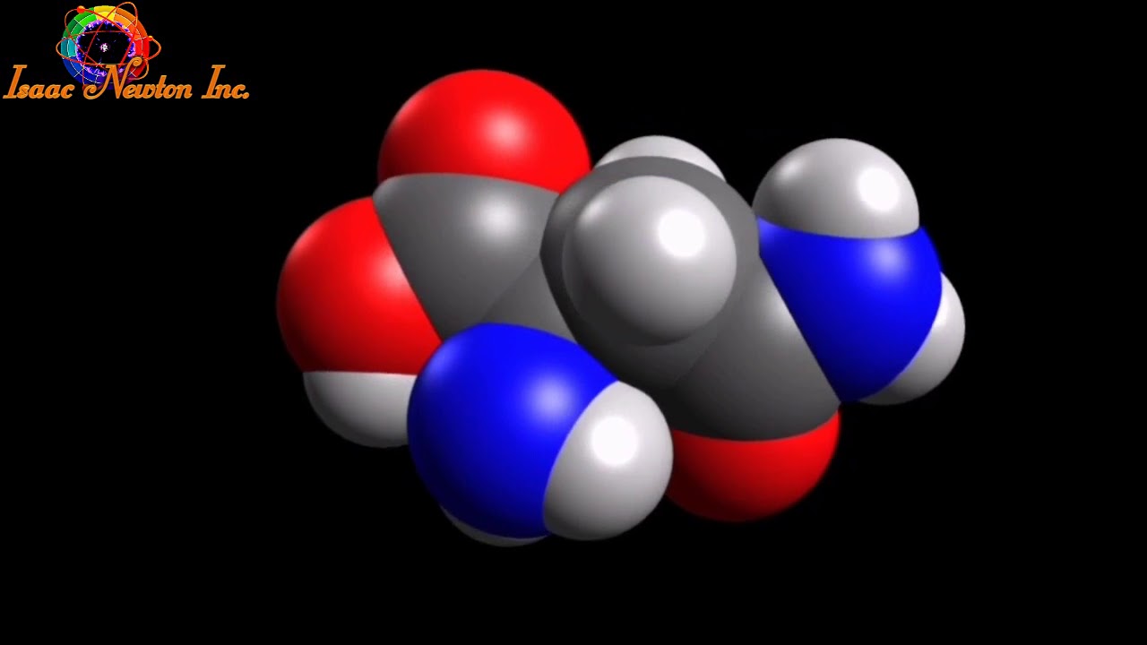 Asparagina Molécula en 3D - Aminoácidos - YouTube