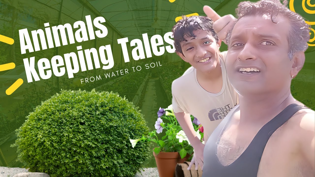 Summer at the Farm – Family, Animals & Nature's Joy | Hassan & Basit Farm #motivation - YouTube