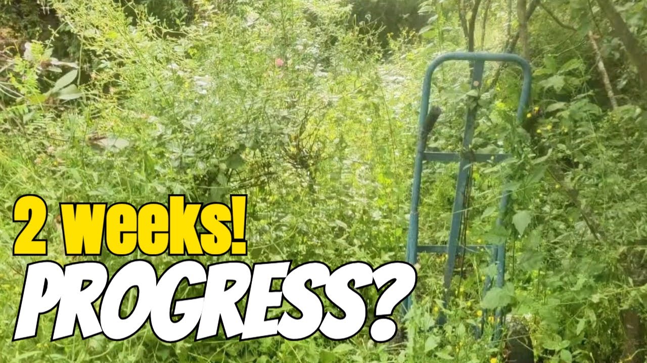 Gardening Video - WITNESS 2 WEEKS OF GARDENING PROGRESS IN JUST 15 ...