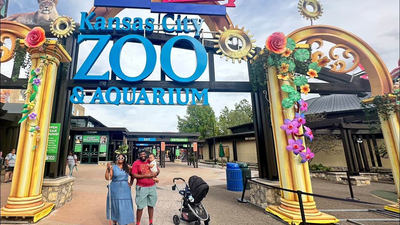 Inside KC Zoo's Incredible New Lion Kingdom - YouTube