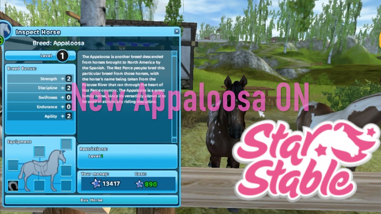 Buying New Appaloosa SSO - YouTube