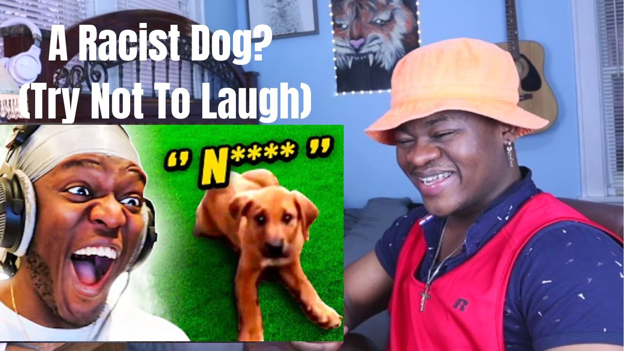KSI - A Racist Dog? (Try Not To Laugh) | JJ Olatunji - YouTube