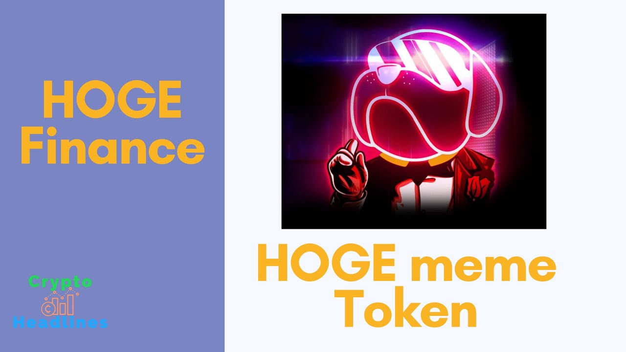 HOGE Finance Crypto | HOGE Meme Crypto | HOGE DeFi - YouTube