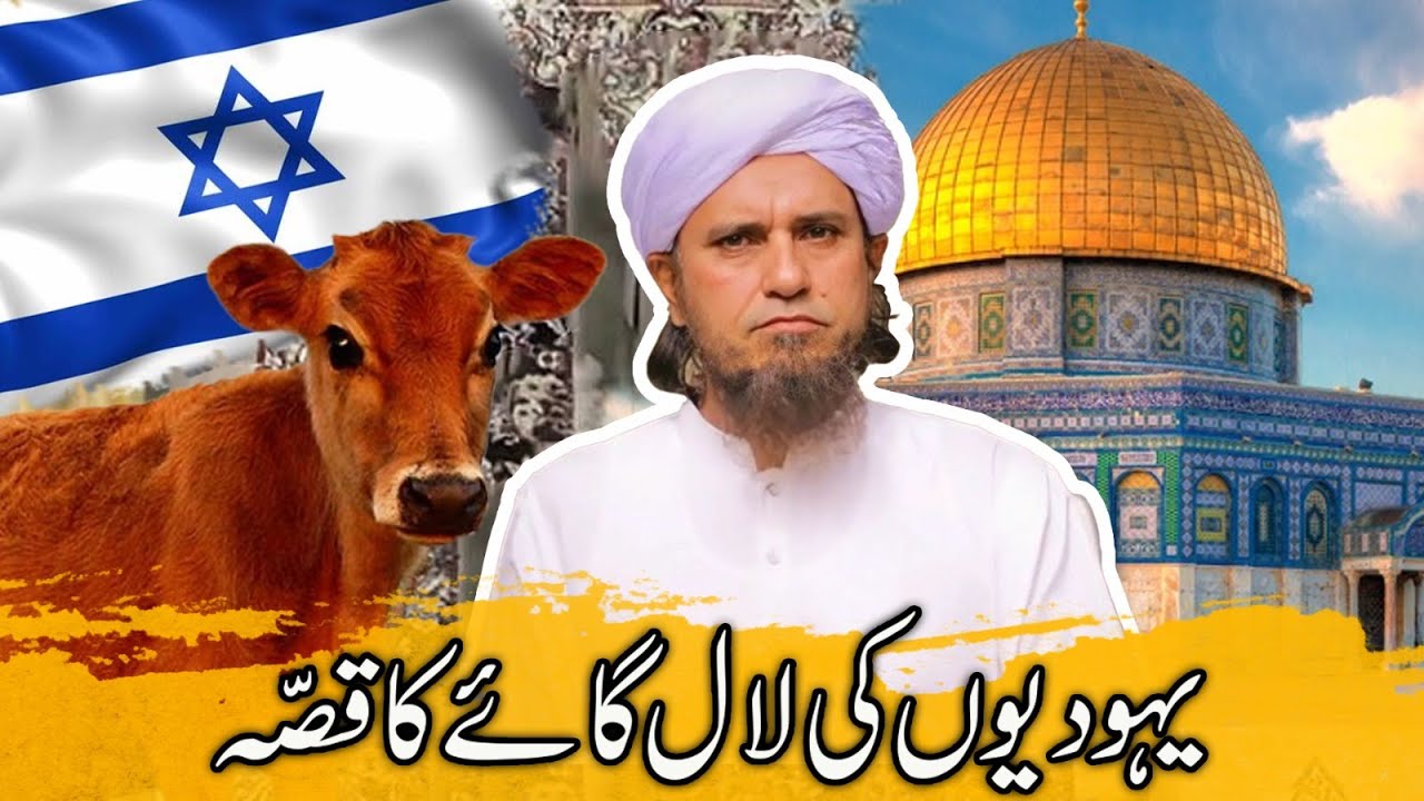 Red Heifer Story | Best of Mufti Tariq Masood - YouTube
