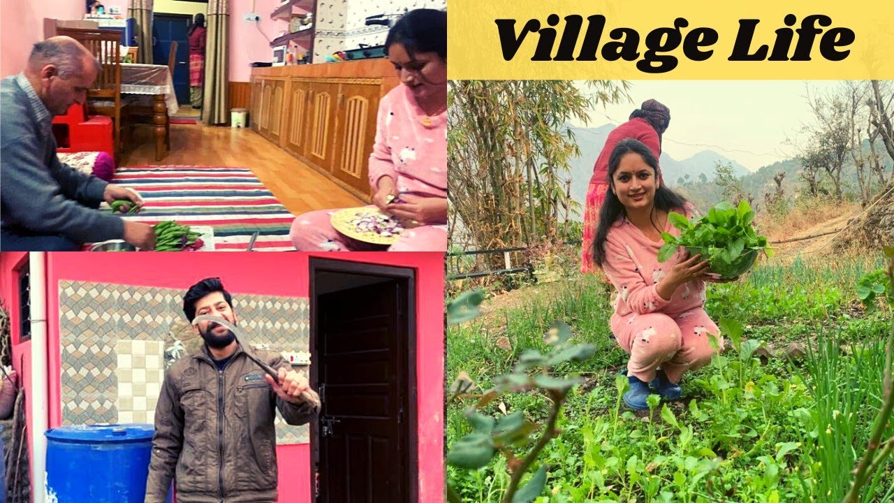 Daily Vlogs || Himachali Traditional Village Lifestyle || Kitchen ...