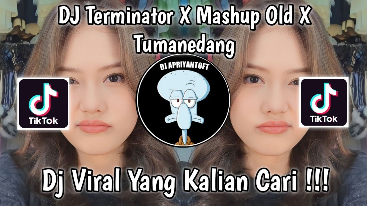 DJ TERMINATOR X MASHUP OLD X TUMANEDANG DJ DANVANTA VIRAL TIK TOK ...