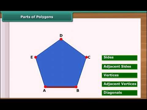 Exploring Curves and Polygons: A Class 6 Guide - YouTube