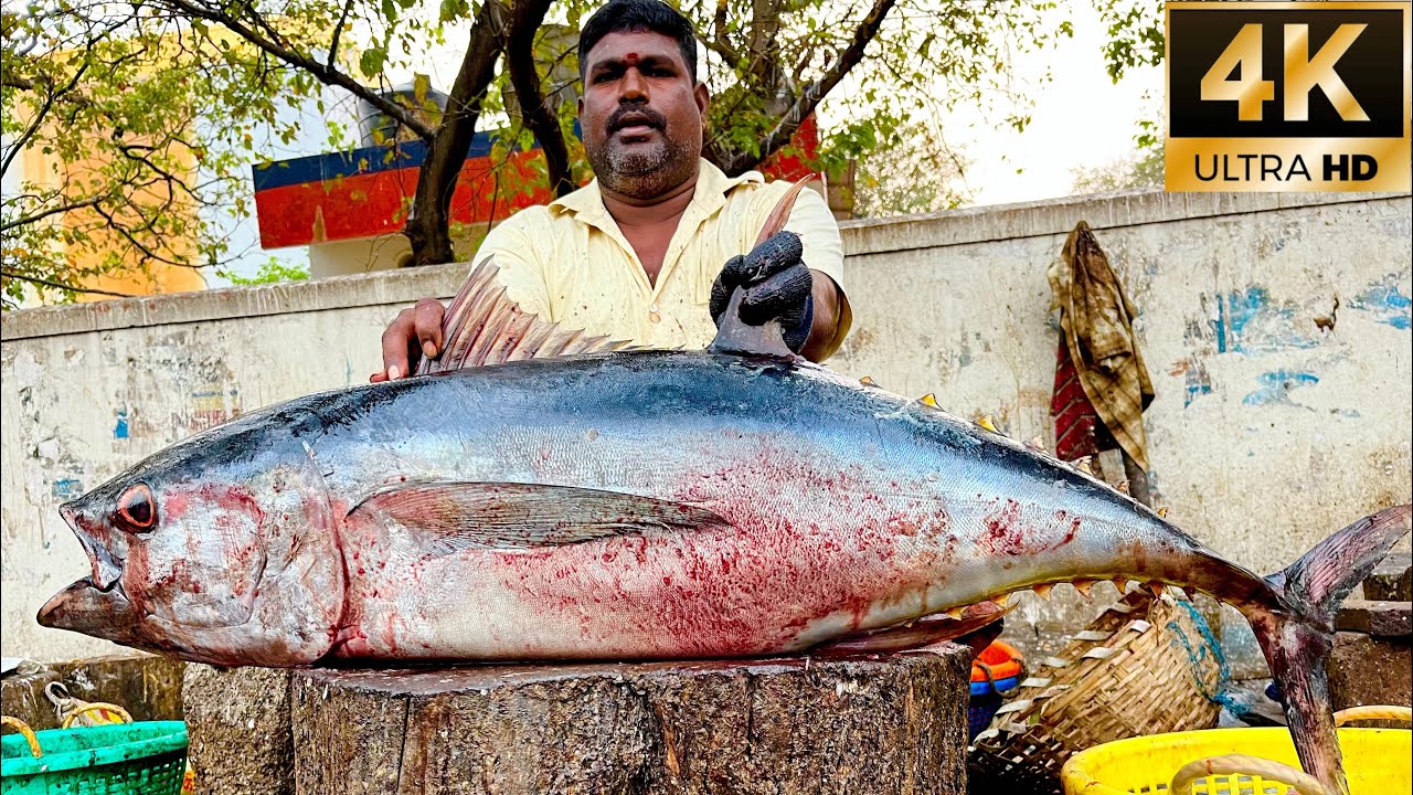 Kerai fish cutting video/fishcuttingrs#fish #kasimedu #fishcuttingrs ...