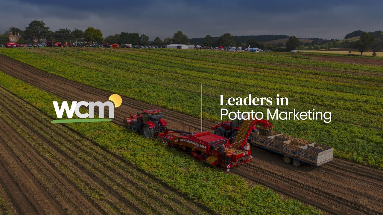 WCM - Leaders In Potato Marketing - YouTube