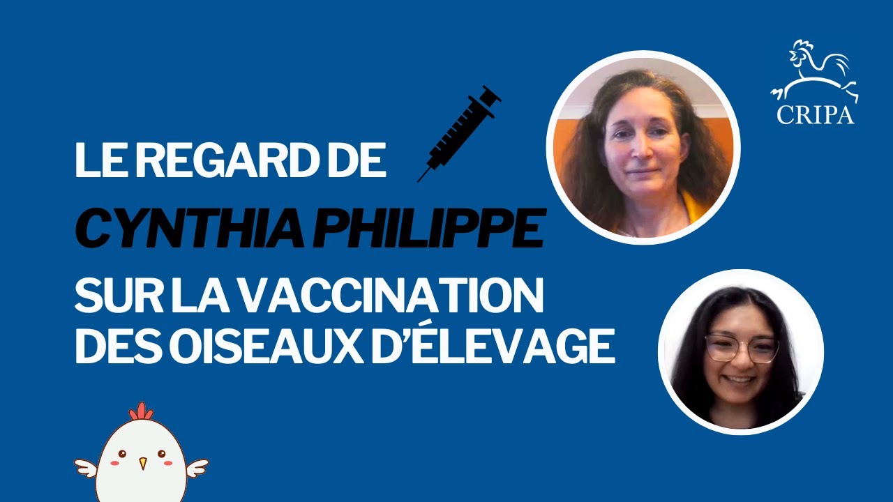 Le regard de Cynthia Philippe sur la vaccination des oiseaux d'élevages ...