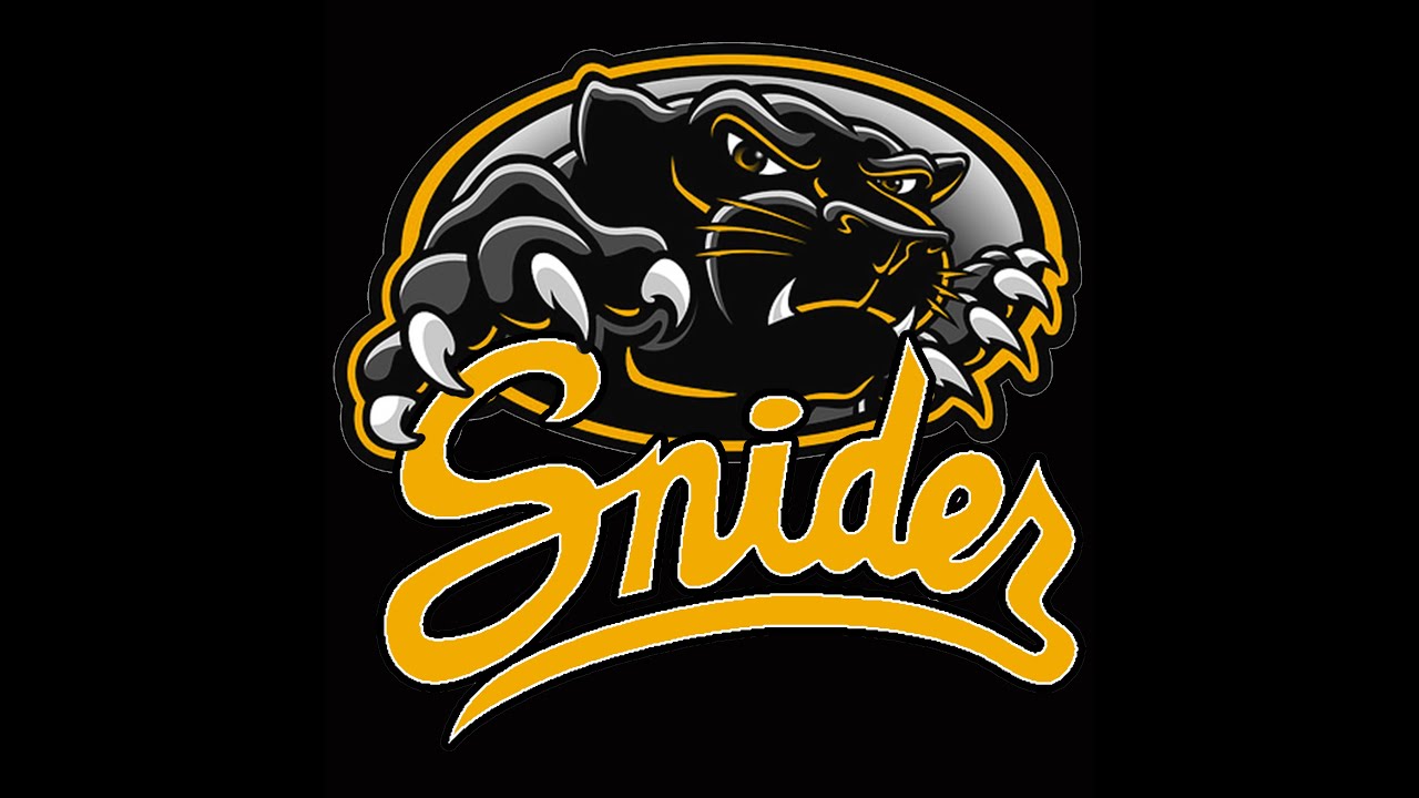 Snider Gymnastics vs East Noble Presented By WRNS Productions Snider ...