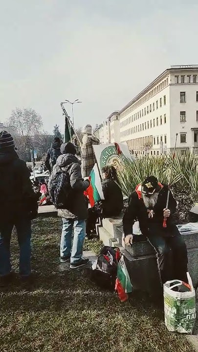 Протест пред Народното събрание в подкрепа на Българския лев и