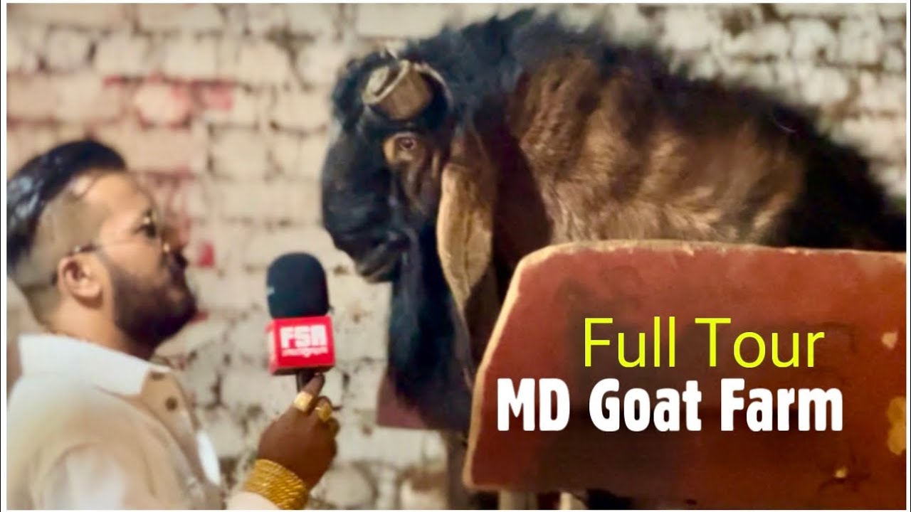 MD Goat Farm Full Tour Oct 25, 2023 - YouTube