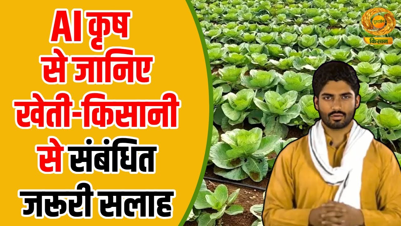 AI Krish से जानिए खेती-किसानी से संबंधित जरूरी सलाह | Farming News ...