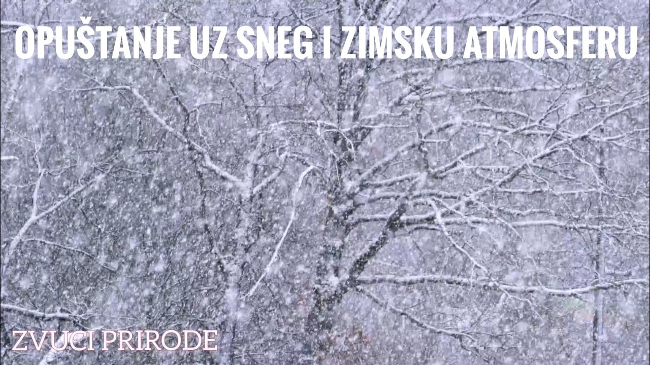 Zima - Sneg ️ - YouTube