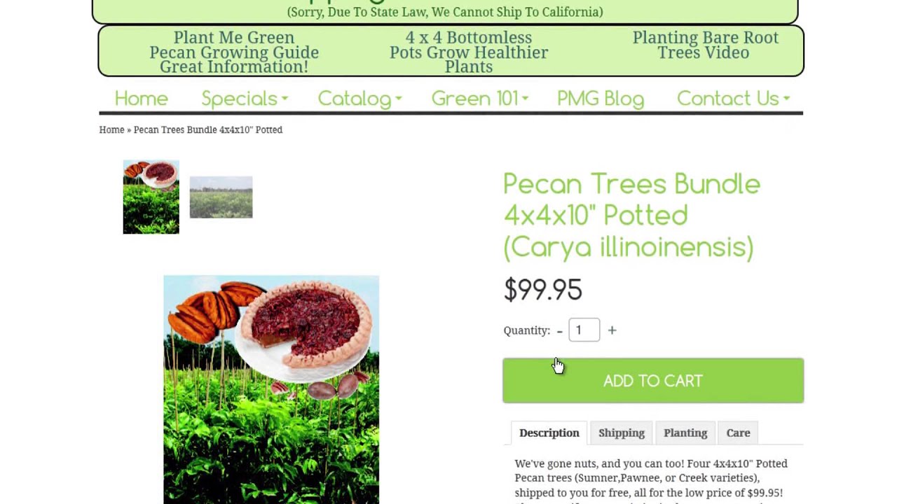 Tips For Ordering Bundles With Options - YouTube