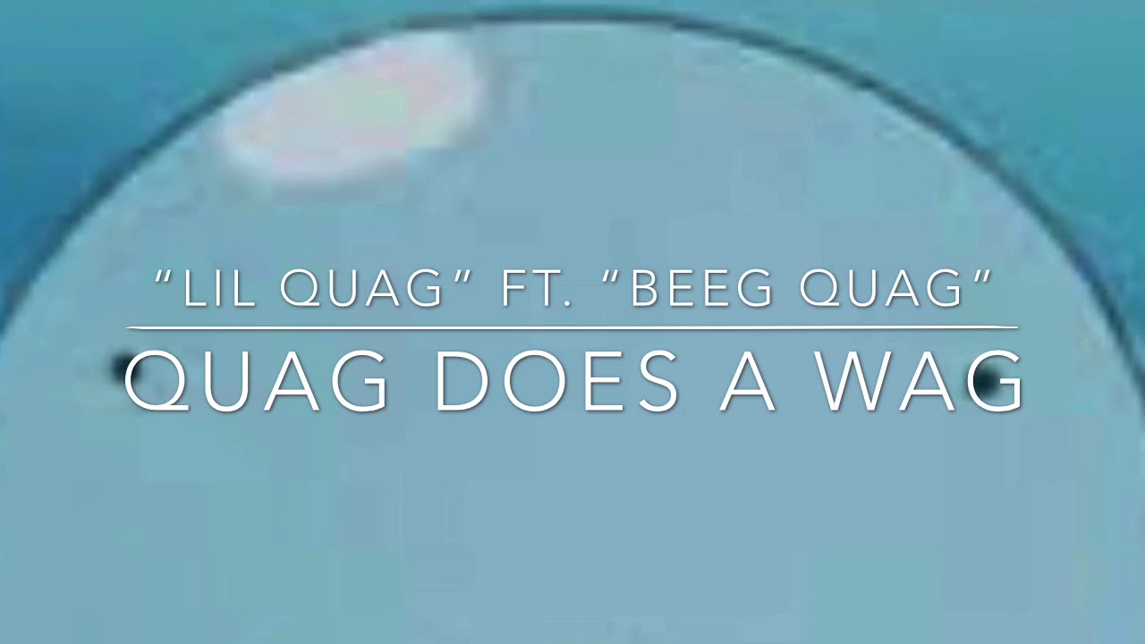 “Lil Quag” ft. “BEEG QUAG”- QUAG DOES A WAG - YouTube
