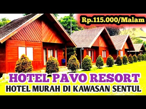HOTEL PAVO RESORT | HOTEL MURAH DI SENTUL - YouTube