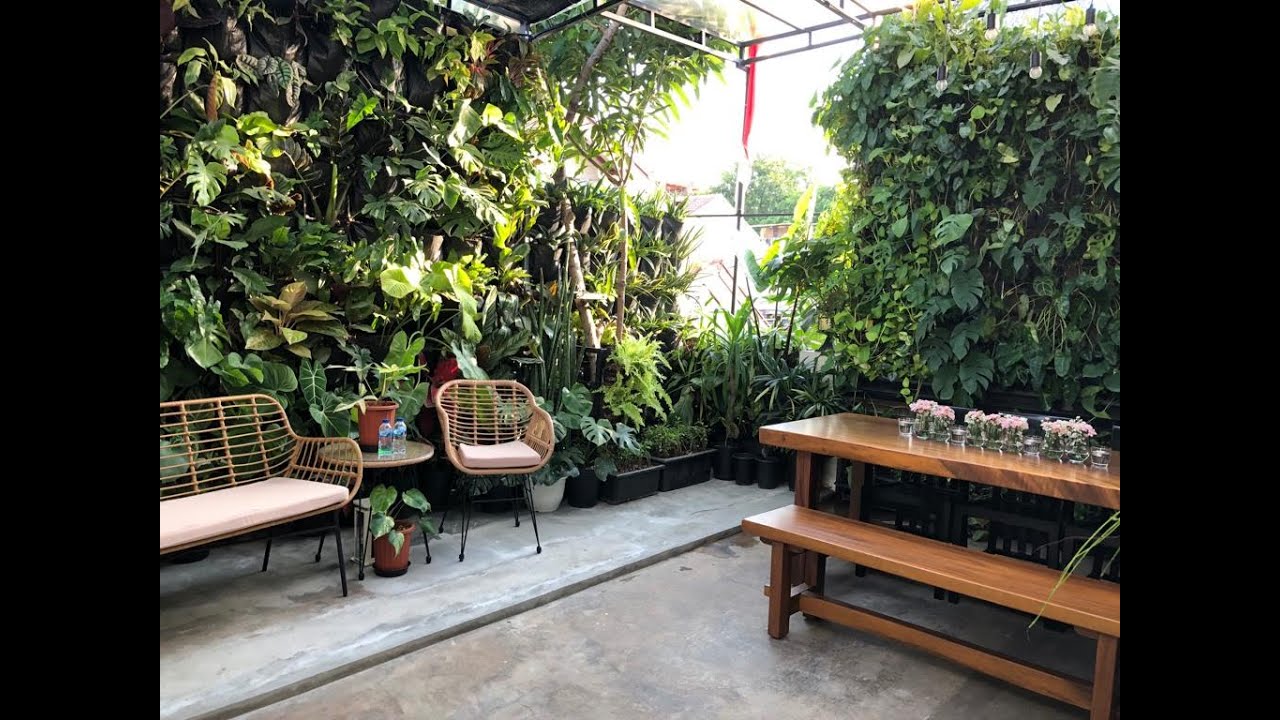 Update kebun organik dan make over kebun vertikal di rooftop - YouTube