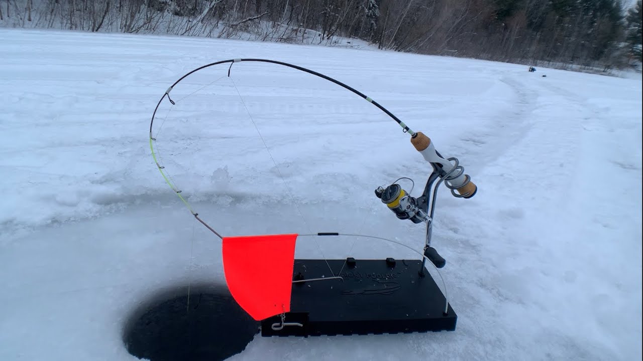 Finicky Fooler Hooksetter catches a bass. - YouTube