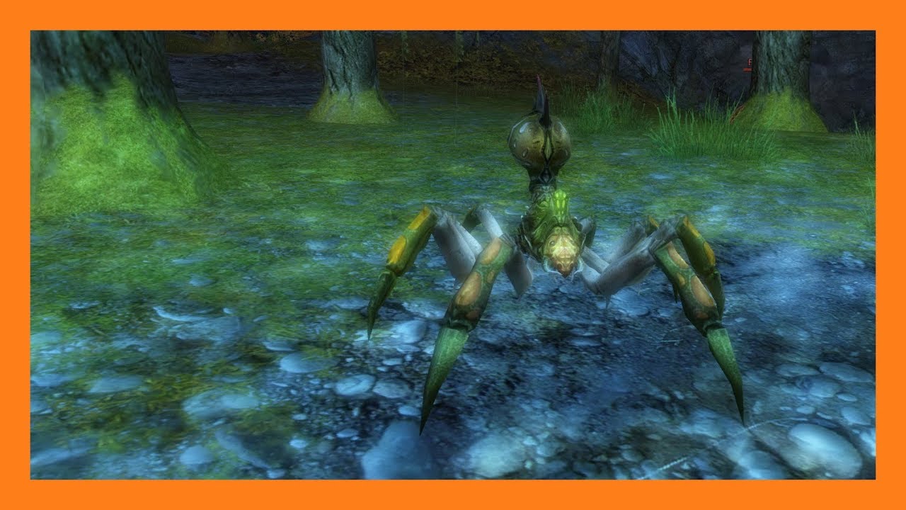 Guild Wars 2 - Forest Spider Pet Locations - YouTube