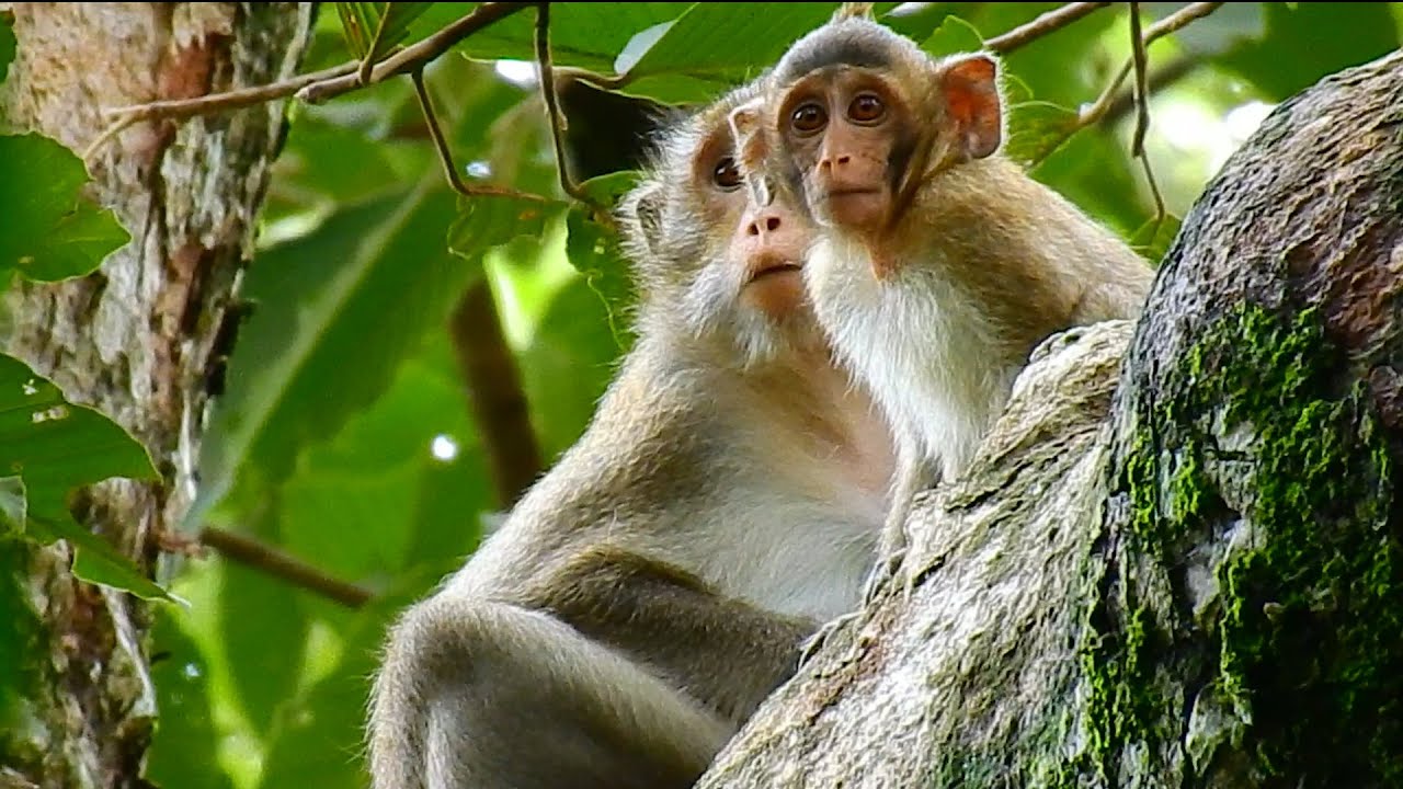 Same Face With Real Generation Of Mummy Anna - YouTube