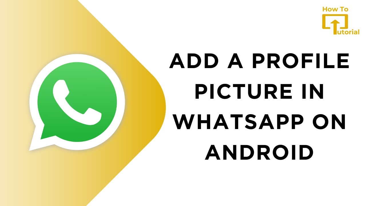 How to Add A Profile Picture in WhatsApp on Android Mobile Phone App ...