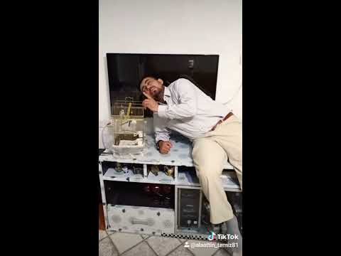 ALAATTİN TEMİZ  VİDEOLARI BÖLÜM 4 İZLE