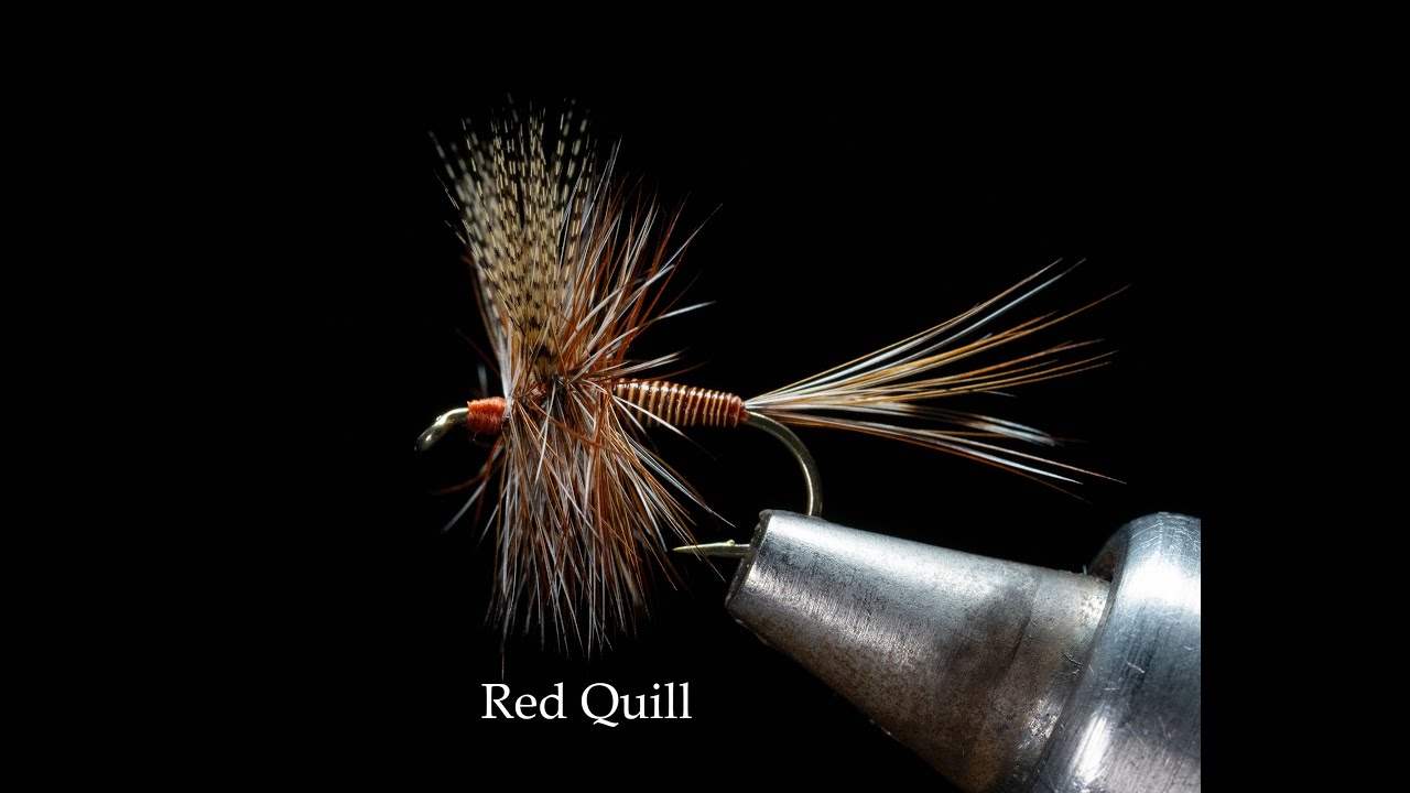 Red Quill Fly Tying Instructions by Michael Falkoff - YouTube