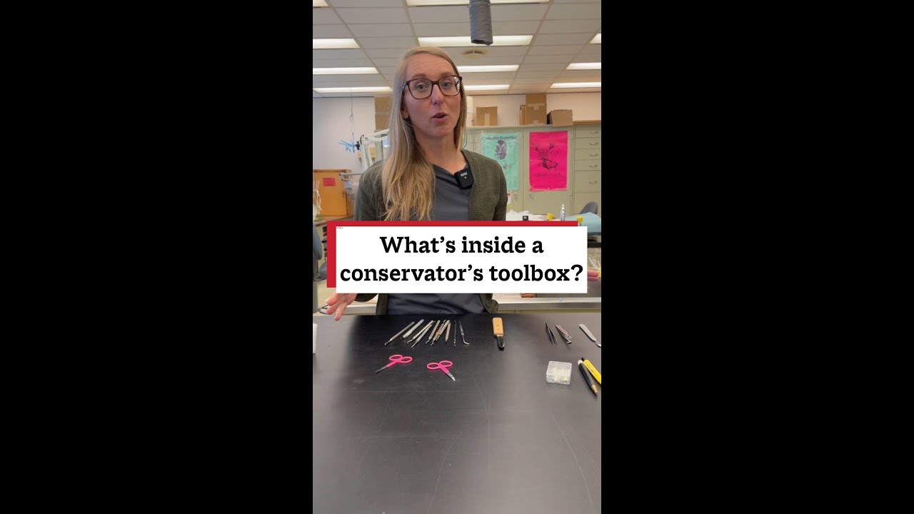Do you know what's in a conservator's toolbox? - YouTube