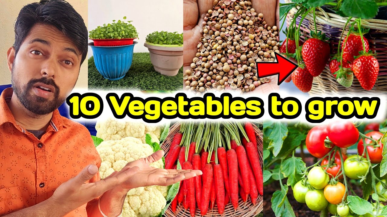 10 Easy Organic vegetables to grow at home, How to grow vegetables in ...